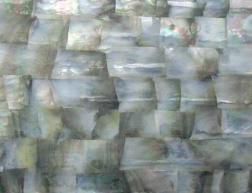 Glass laminated Capiz | Glass laminated Shell | Mother of pearl Glass ...